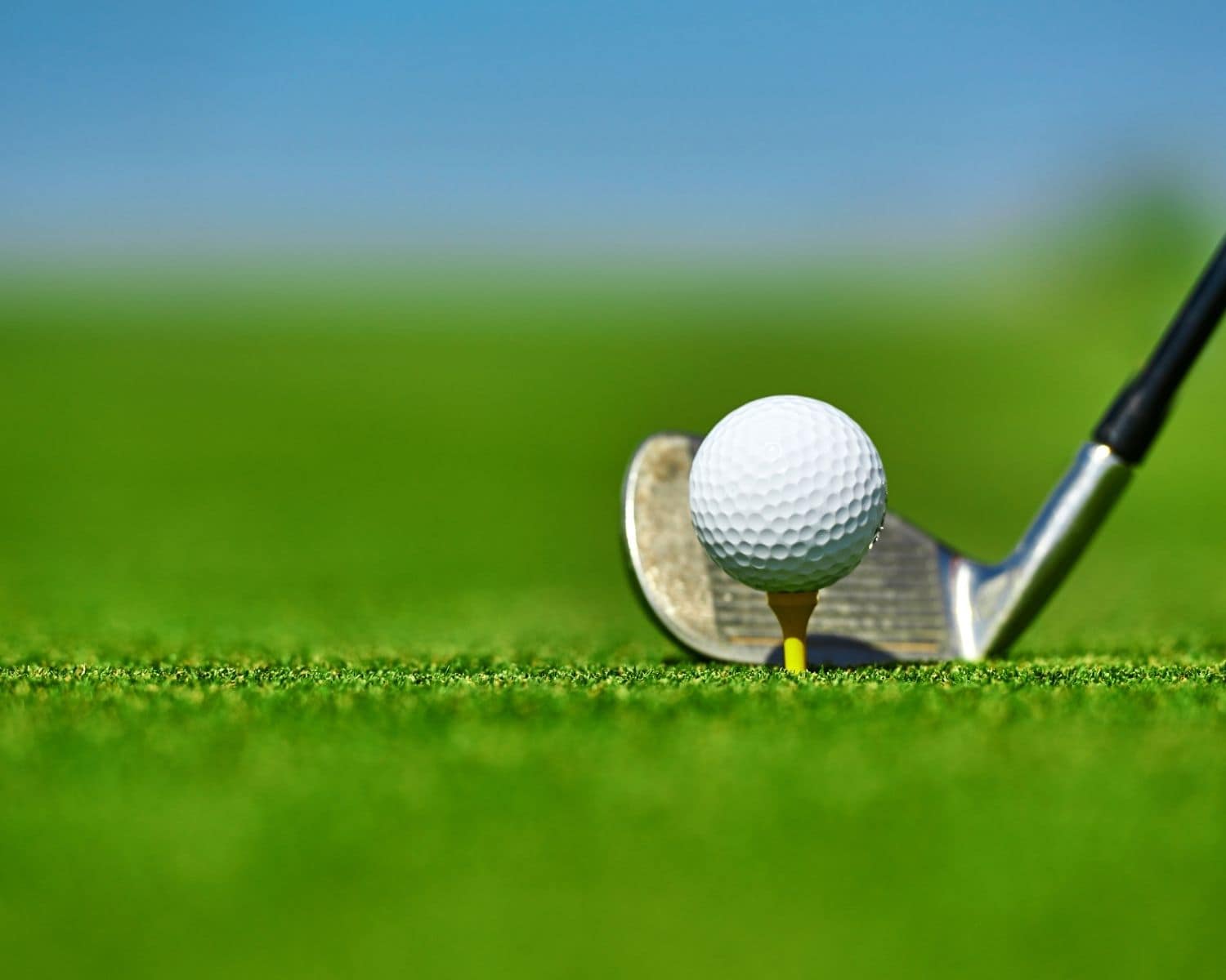 The Science Behind How Many Dimples Are in a Golf Ball